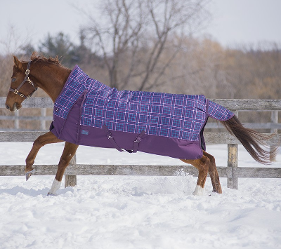 Winter Horse Blankets